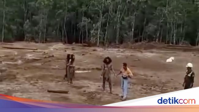 Tentang Suku Togutil di Halmahera yang Diganggu Tambang Hingga Keluar Hutan
