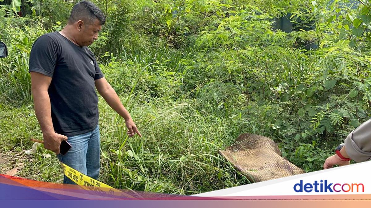 2 Minggu Hilang, Lansia di Jambi Ditemukan Tewas di Semak Pinggir Jalan