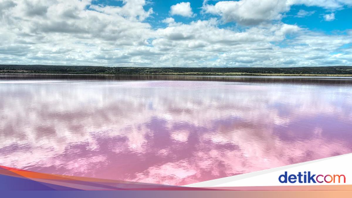 Danau Ini Berwarna Merah Muda Alami, Apa Sebabnya?