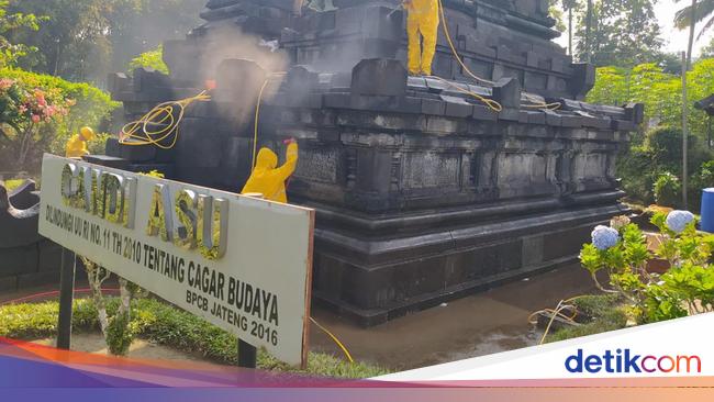 Candi Asu Magelang 'Dimandikan', Seperti Apa Prosesnya?