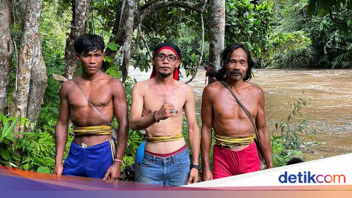 Suku Togutil Punya Tradisi Menjunjung Tinggi Perempuan, Anti Menebang Pohon