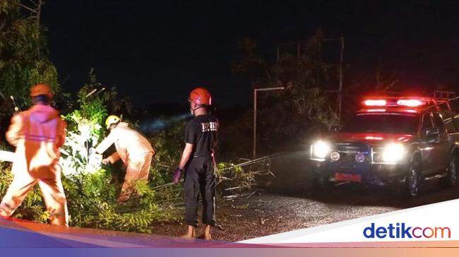 Hujan Disertai Angin Kencang di Glagah Lamongan Tumbangkan Sejumlah Pohon
