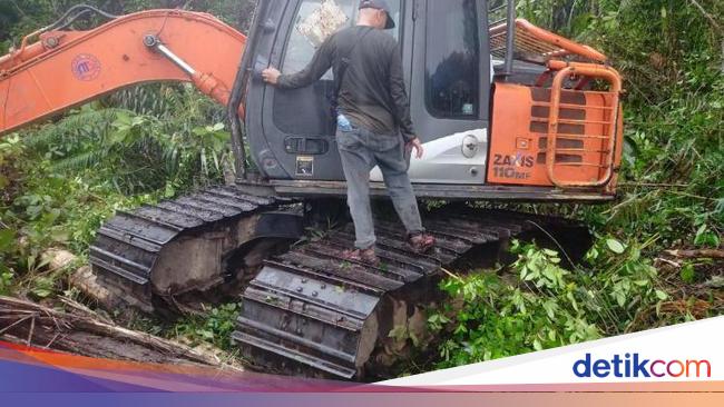 Gakkum KLHK Tahan Tersangka Perusak Hutan Produksi Konversi di Sumbar