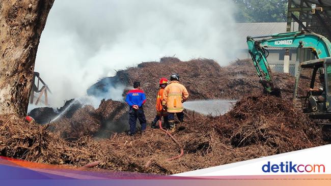 Gudang Kayu Putih Hutan Bunder Terbakar 24 Jam, Damkar Ungkap Penyebabnya