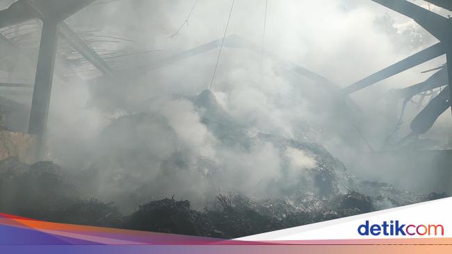 Gudang Kayu Putih di Hutan Bunder Gunungkidul Terbakar
