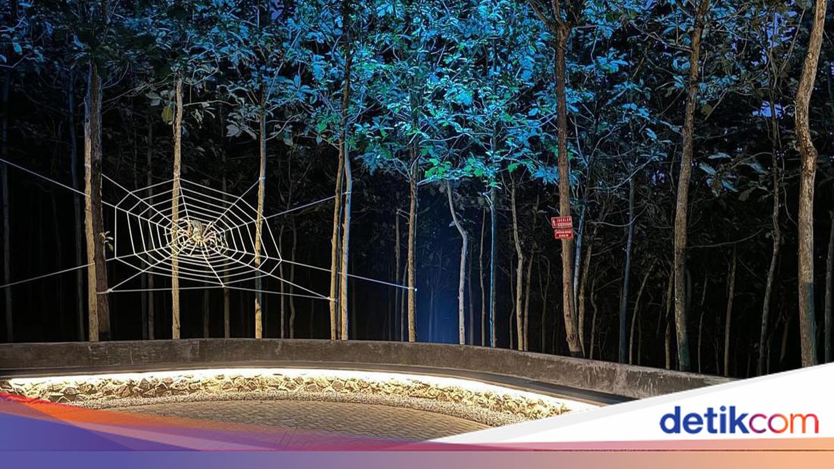 Rekomendasi Tempat Liburan di Lampung, Favorit hingga Hidden Gem