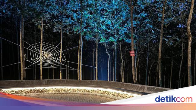 Bukit Aslan di Lampung: Daya Tarik, Jam Buka, Harga Tiket, dan Rute