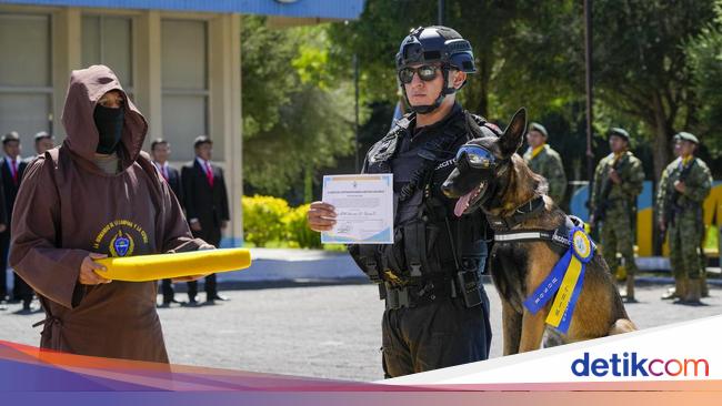 Potret Militer Ekuador Gelar Upacara Penghargaan untuk Anjing Tentara