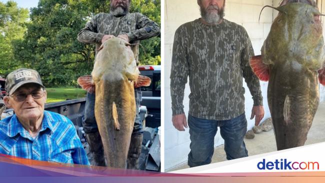 Ikan Lele 'Raksasa' yang Bikin Ketar-ketir Kanada