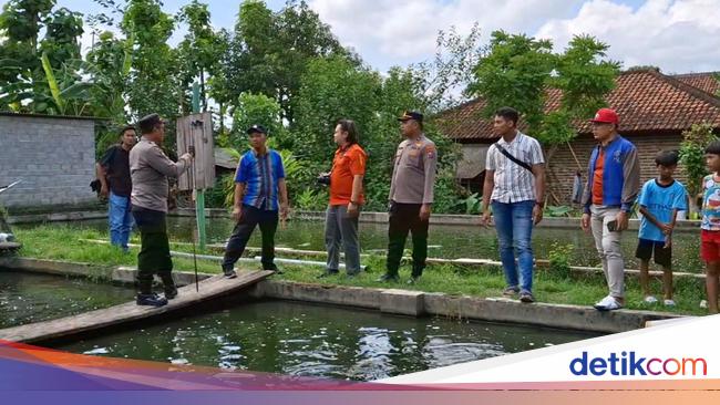Tragis 3 Balita di Tulungagung Tercebur Kolam Ikan Patin, 2 Tewas Tenggelam