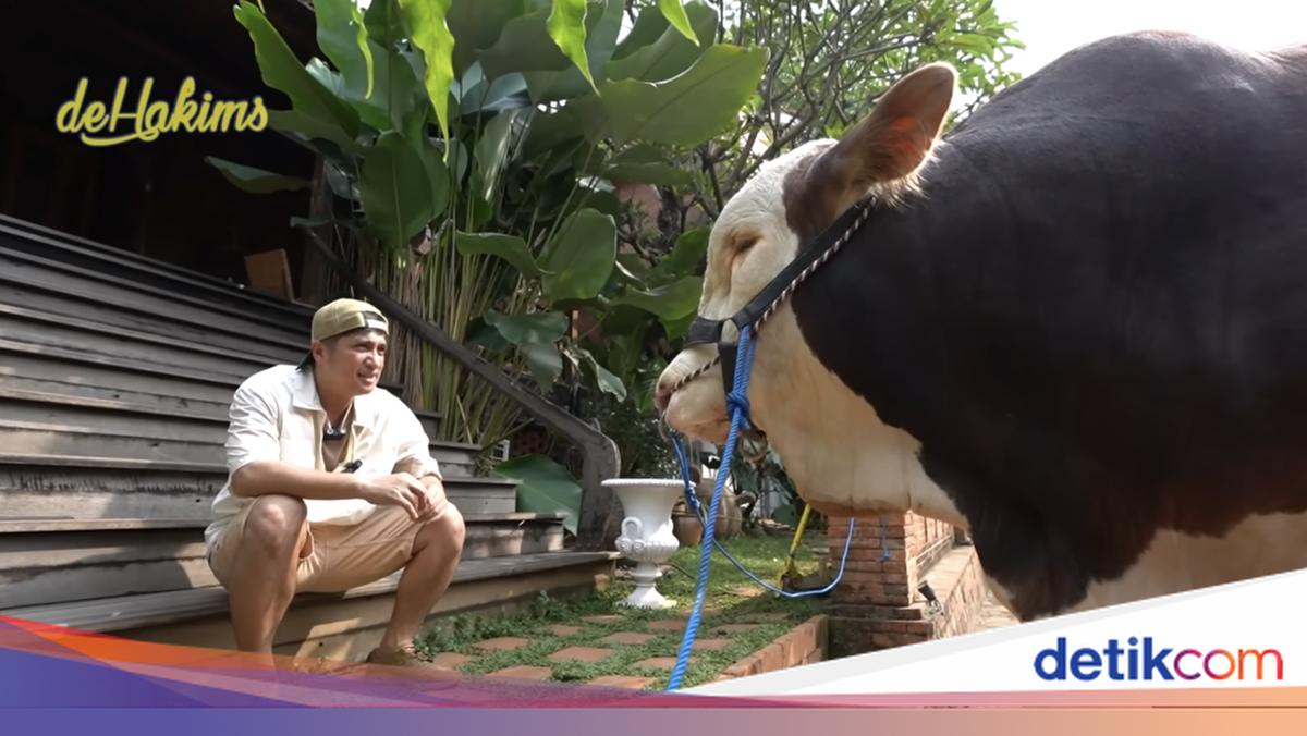 Persiapan Irfan Hakim Jelang Kurbankan 4 Sapi Jumbo