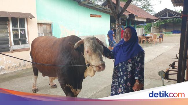 Cerita Pemilik Si Bule yang Sapinya Dibeli Jokowi untuk Kurban: Mau Nangis