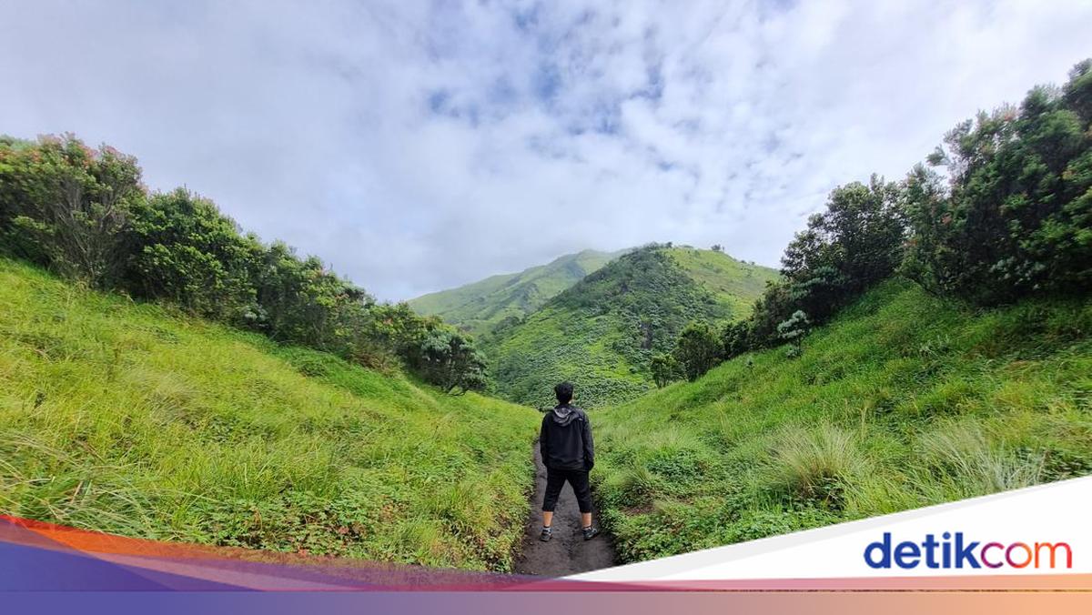 Gunung Merbabu Terletak di Mana? Ini Lokasi, Jalur Pendakian dan Daya ...