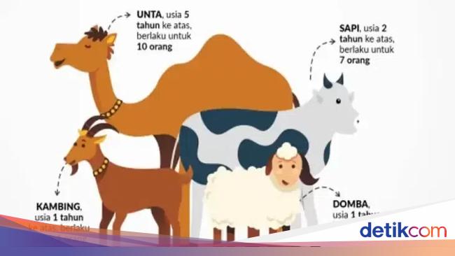 Batas Usia Hewan Kurban yang Sah hingga Aturan Patungan untuk Kurban