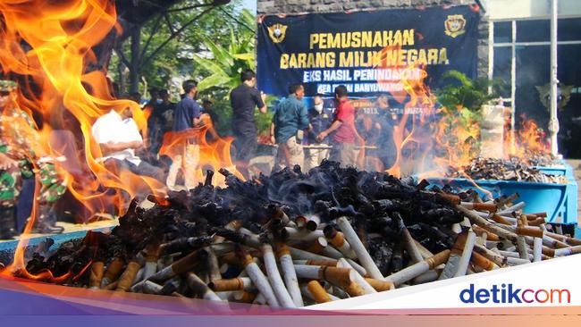 Bea Cukai Banyuwangi Musnahkan Puluhan Ribu Batang Rokok Ilegal