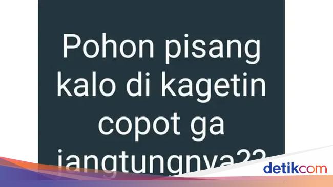 Begini Jadinya Kalau Bapak-bapak Main Internet, Kocak Abis! Begini Jadinya Kalau Bapak-bapak Main Internet, Kocak Abis!