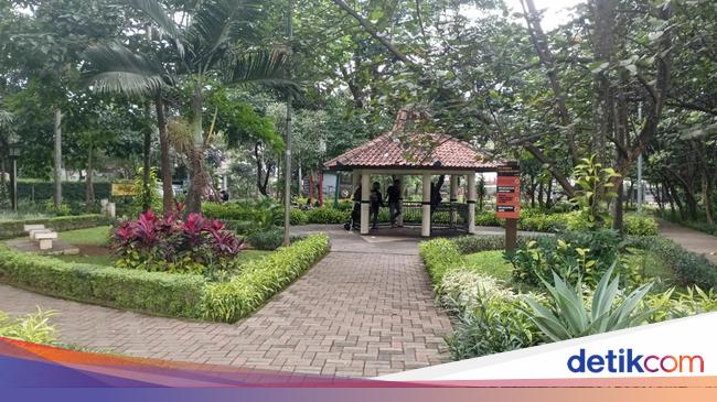 Menyesap Kesejukan Sore di Taman Cibeunying Bandung