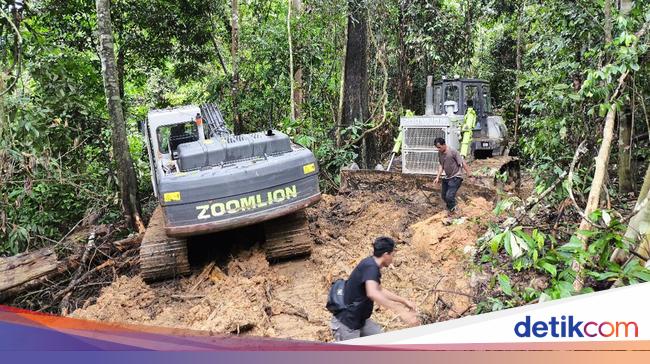 Polisi Kembali Temukan Tambang Ilegal-3 Ekskavator di Lahan Perusahaan Berau