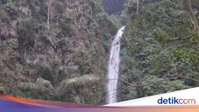 Wisata Air Terjun Tancak Jember: Daya Tarik, Lokasi, hingga Tiket Masuk