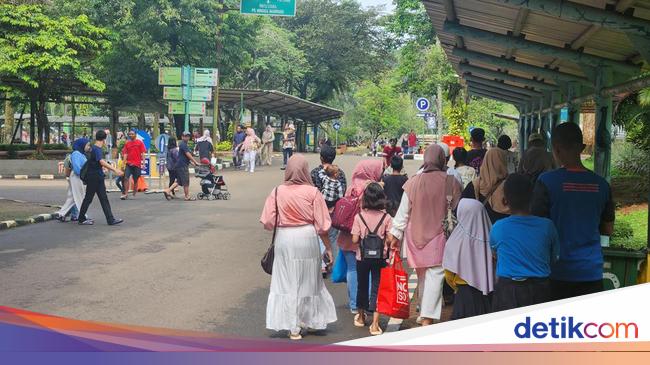 Libur Panjang Idul Adha, Kebun Binatang Ragunan Ramai Dikunjungi Warga