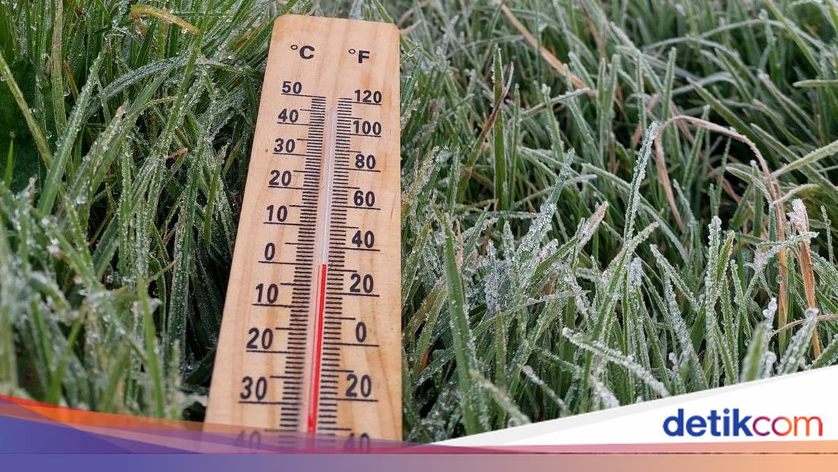 Penampakan Fenomena Embun Es Bikin Dieng 'Membeku' Pagi Ini