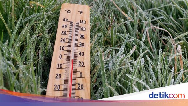 Penampakan Fenomena Embun Es Bikin Dieng 'Membeku' Pagi Ini