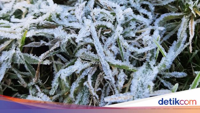 Penampakan Embun Es di Dieng Pagi Ini