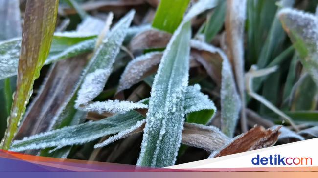 Padahal Kawasan Tropis, Mengapa Embun Es Bisa Muncul di Dataran Dieng?