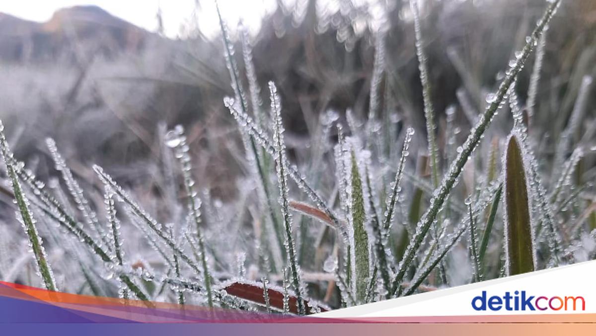 7 Kota Paling Dingin di Indonesia, Nomor 1 Ada di Papua