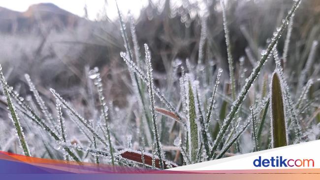 Bagaimana Embun Es Bisa Terbentuk di Dieng? Ini Penjelasannya