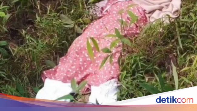 Wanita Tewas Diduga Korban Perampokan-Pemerkosaan Terkapar di Kebun Karet