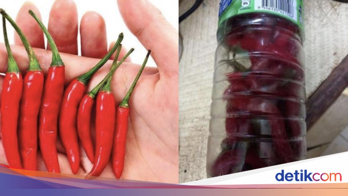 Tips Praktis Simpan Cabe agar Awet Segar Berbulan-bulan