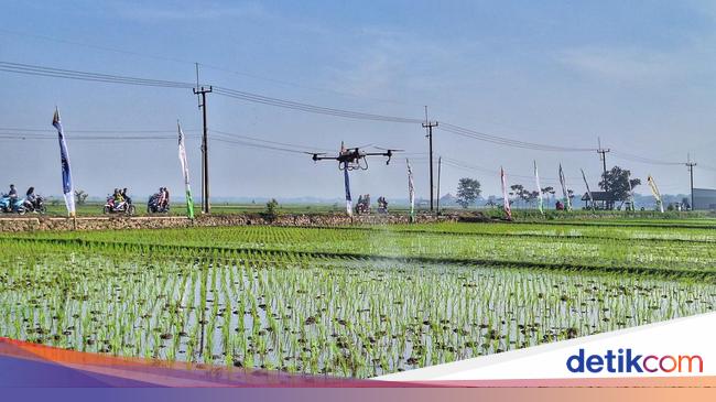 Kala Petani Ciparay Dikenalkan Teknologi Pemupukan Pakai Drone