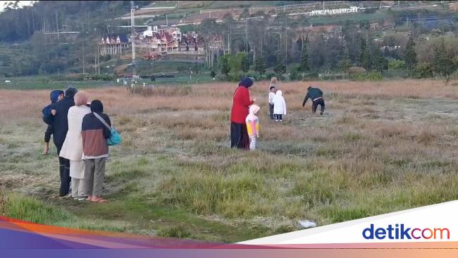 Wisatawan Heran Lihat Embun Beku Dieng: Masih di Jawa tapi Ada Es