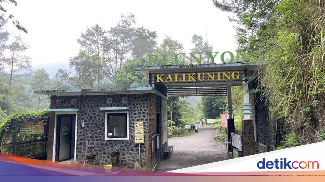 Sejarah Jembatan Plunyon Kalikuning, Jembatan Ikonik di Film KKN Desa ...