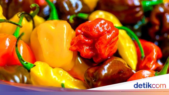 Ini 7 Cabai Terpedas di Dunia yang Pedasnya Bisa Bikin Lidah Terbakar