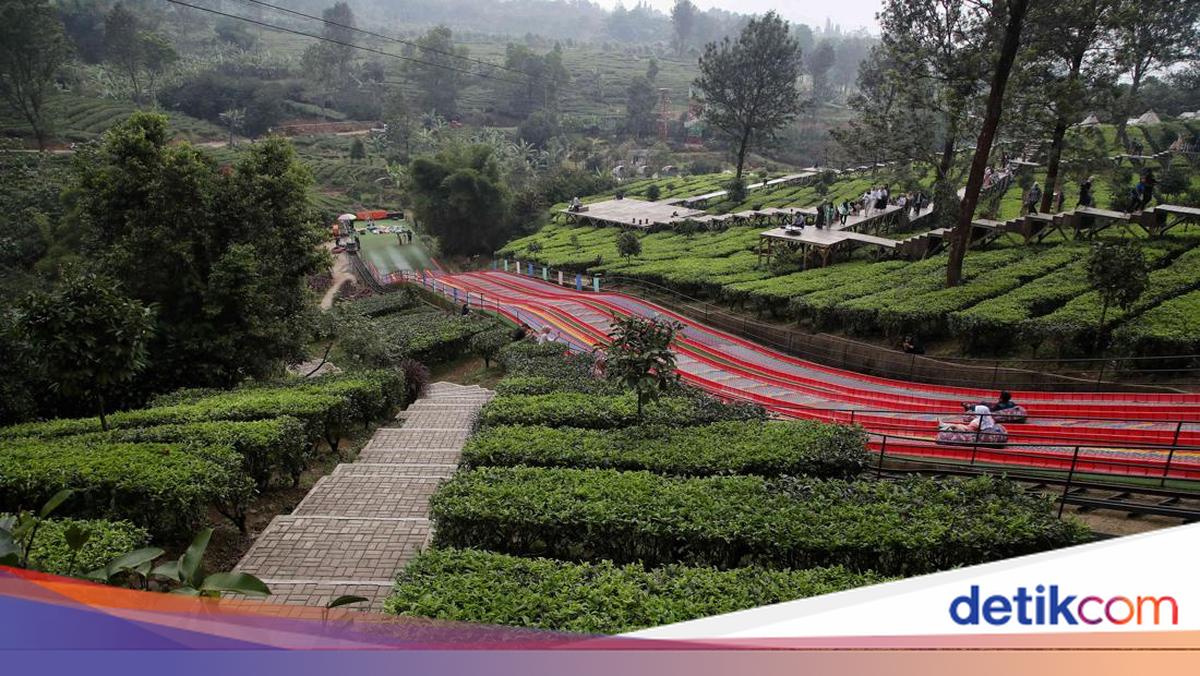 Agrowisata Gunung Mas Puncak, Tempat Asyik untuk Liburan dan Healing