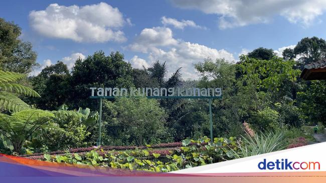 Pembeda Desa Wisata Taro: Konservasi Kunang-Kunang