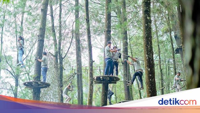 Kopeng Treetop Adventure Park: Jam Buka, Harga, Fasilitas, Daya Tarik