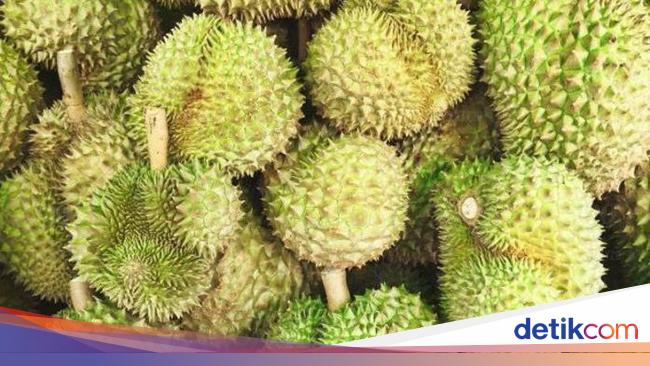 Saking Enaknya, Mau Makan Durian Ini Waiting List-nya Satu Tahun