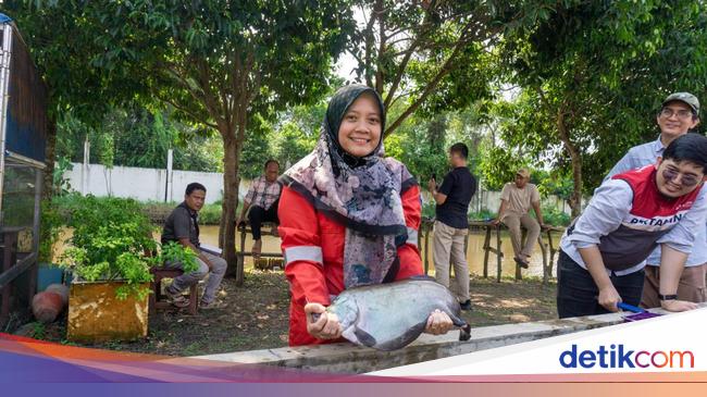 KPI RU III Plaju Gandeng Pusat Riset Lestarikan Ikan Belida agar Tak Punah