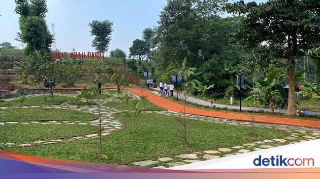 Bukit Mbah Garut Tambah Jumlah RTH di Bandung