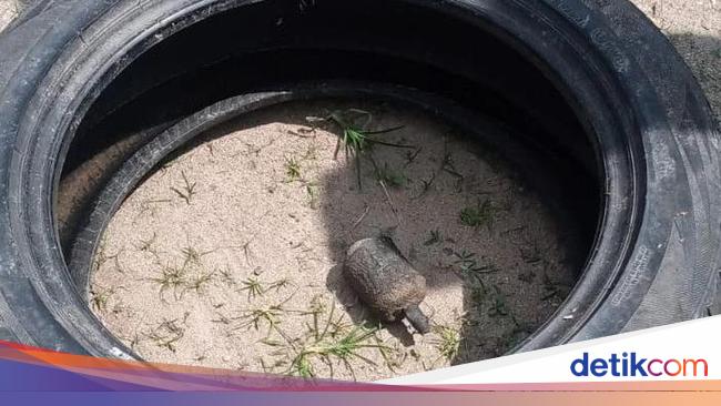 Bocah di Jambi Cari Kerang Malah Temukan Benda Diduga Granat
