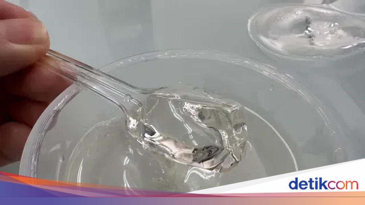 Di Jepang Kini Ada Puding 'Tembus Padang' yang Bikin Penasaran