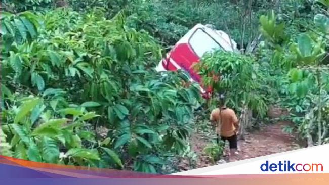 Bus Ranau Indah Tabrak Pemotor Lalu Masuk Jurang di Lampung