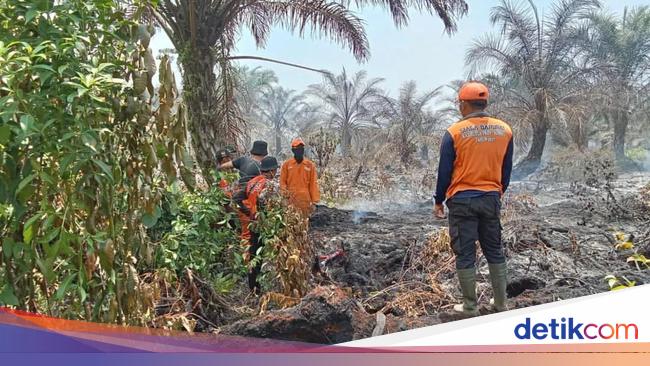 BPBD Mura Siapkan Posko Antisipasi Karhutla, Masifkan Imbauan ke Warga BPBD Mura Siapkan Posko Antisipasi Karhutla, Masifkan Imbauan ke Warga