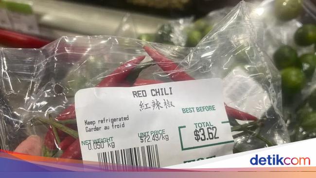 Harga Cabe dan Terong di Kanada Bikin Ngelus Dada