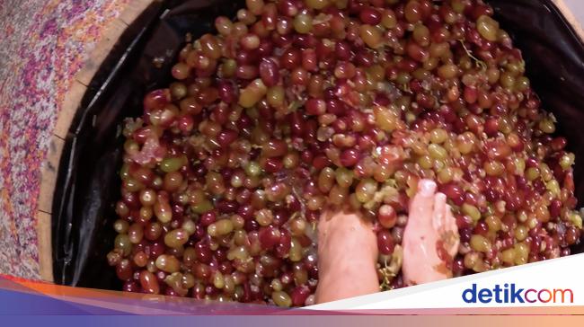 Model OnlyFans Jual Wine Rp 2 Juta dari Anggur yang Diinjak oleh Kakinya