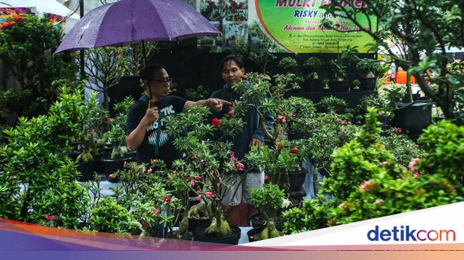 Hujan Tak Surutkan Semangat Warga Kunjungi Pameran Flona 2024 Hujan Tak Surutkan Semangat Warga Kunjungi Pameran Flona 2024