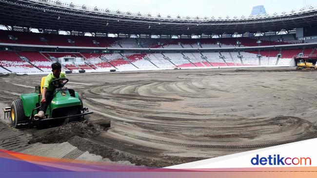 Melihat Progres Revitalisasi Rumput Stadion GBK